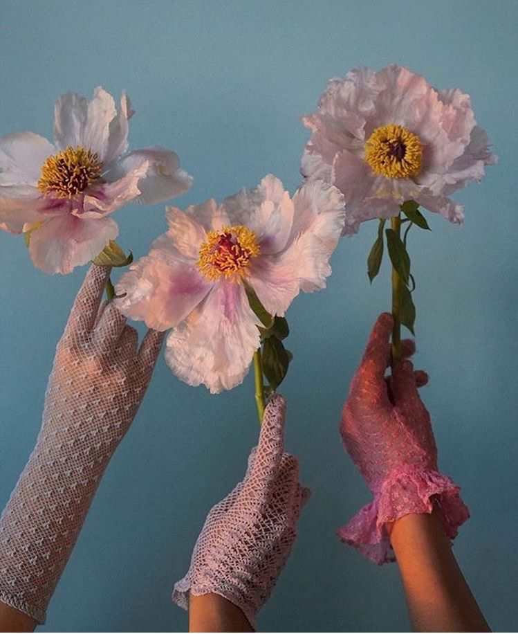 Flower Aesthetic Archives - SAINT TWENTY